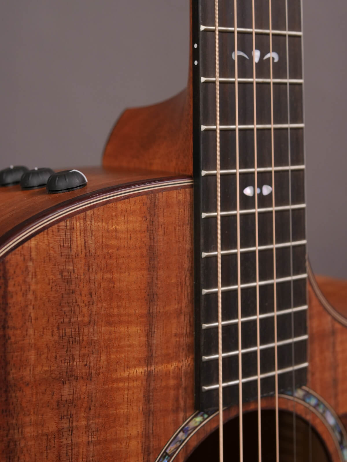 Taylor 724ce - Heart’s Home Acoustics